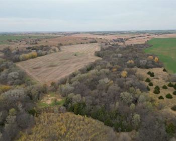 Land for Sale Over 5 Acres : LANDFLIP