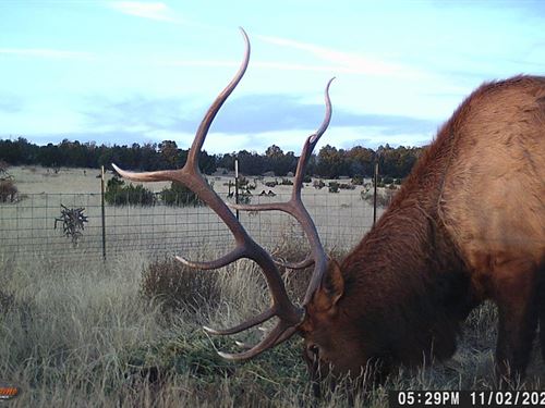 New Mexico Land for Sale : Page 16 of 34 - landflip