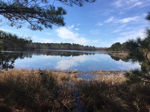 Land for Sale, 10 - 1,000 Acres : Page 613 of 661 - LANDFLIP