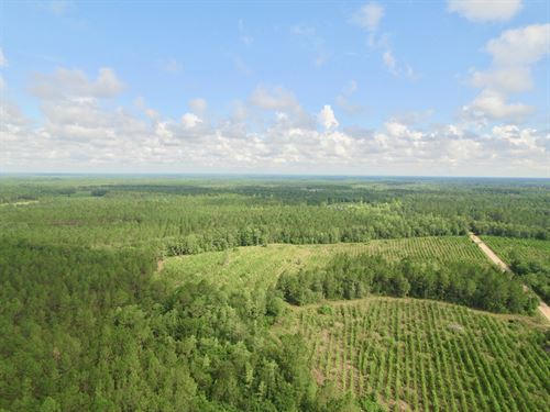 Georgia Land for Sale : Page 27 of 112 : LANDFLIP