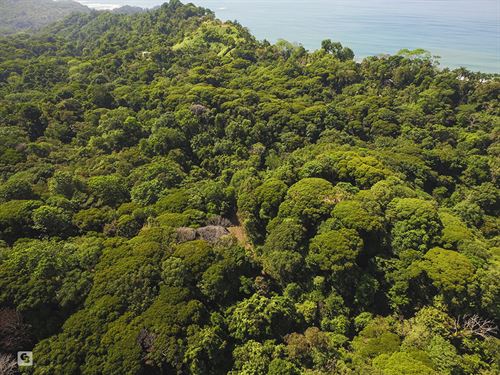 Costa Rica Land for Sale, Property for Sale : LANDFLIP