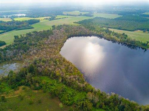 Wellborn Florida Land for Sale : LANDFLIP