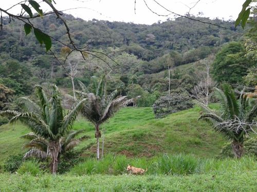 Panama Land for Sale : Page 7 of 8 : LANDFLIP