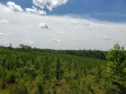 Jones County Georgia Land for Sale : LANDFLIP