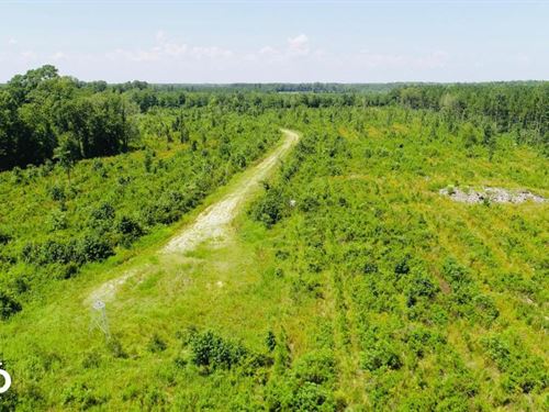 Pitt County North Carolina Land for Sale : LANDFLIP