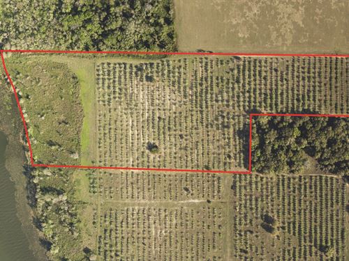 Lake County Florida Land for Sale : LANDFLIP