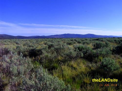 Termo California Land for Sale : LANDFLIP