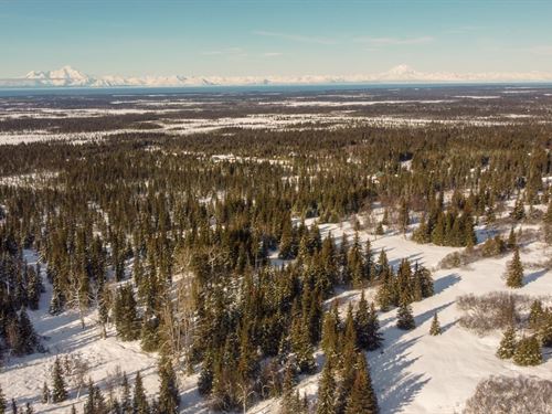 Alaska Land for Sale : LANDFLIP