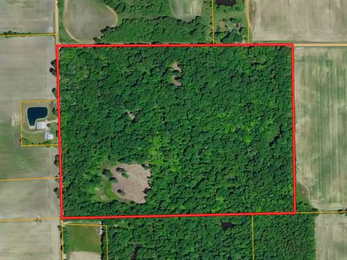 Indiana Land for Sale : Page 7 of 12 : LANDFLIP