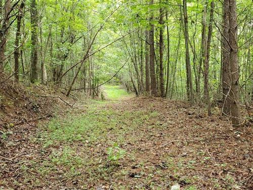 North Carolina Land for Sale : Page 3 of 37 - landflip