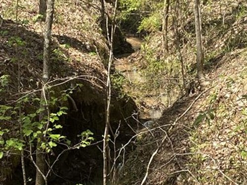 Talbot County Georgia Land for Sale - landflip