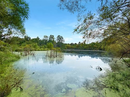 Woodleaf North Carolina Land for Sale : LANDFLIP