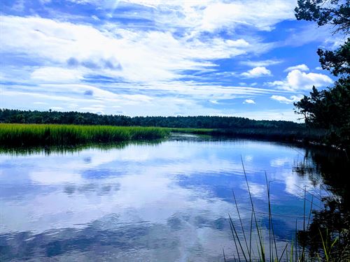 Georgia Land for Sale : Page 4 of 115 - landflip