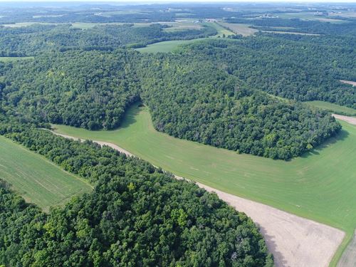 Buffalo County Wisconsin Land for Sale : LANDFLIP
