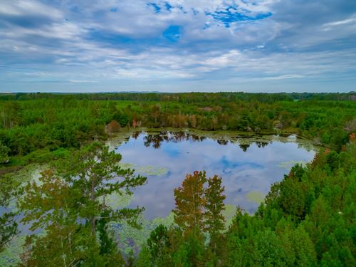 Swamp Land for Sale : LANDFLIP