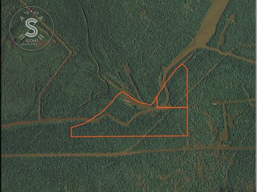 Louisiana Swamp Land for Sale : LANDFLIP