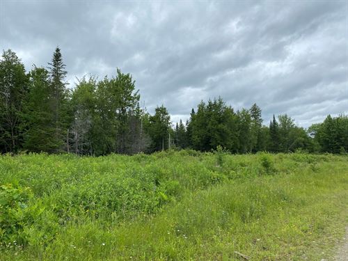 Maine Land for Sale : LANDFLIP