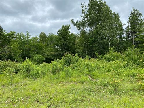 Maine Land for Sale : LANDFLIP