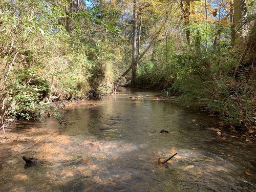 Swamp Land for Sale : LANDFLIP