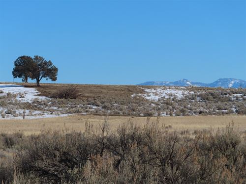 Canby California Exploring Land for Sale : LANDFLIP