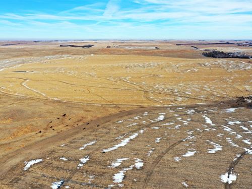 Nebraska Land for Sale - landflip