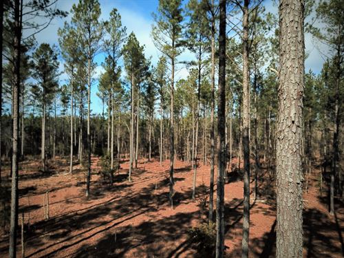 South Carolina Land for Sale : Page 5 of 31 : LANDFLIP