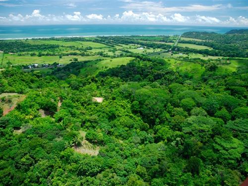 Owner Finance Land for Sale : LANDFLIP