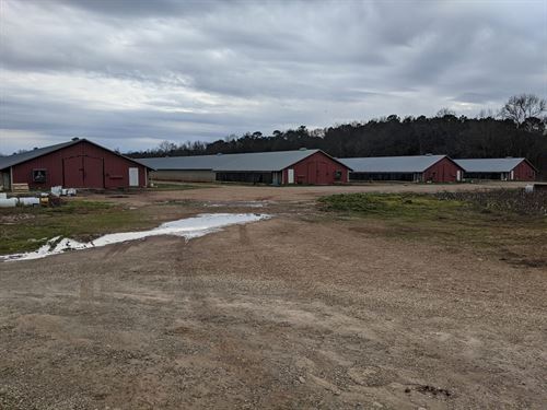 Morgan County Georgia Land for Sale : LANDFLIP