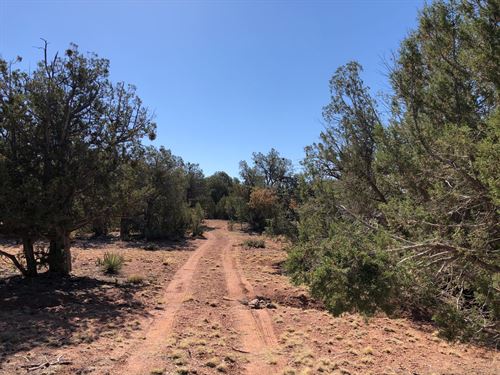 Paulden Arizona Land for Sale : LANDFLIP