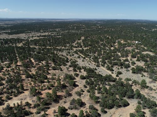 New Mexico Land for Sale : Page 10 of 33 : LANDFLIP