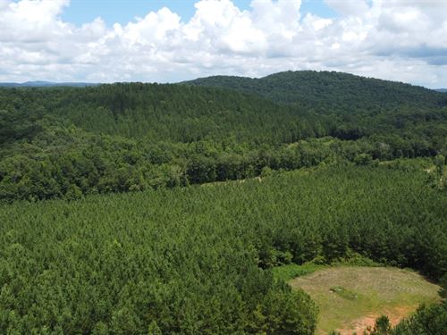 Alabama Land for Sale : LANDFLIP