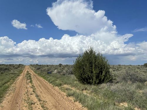 Sandoval County New Mexico Land for Sale : LANDFLIP
