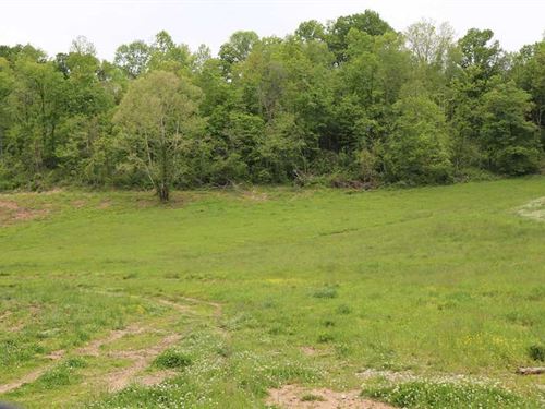 Kentucky Land for Sale - landflip
