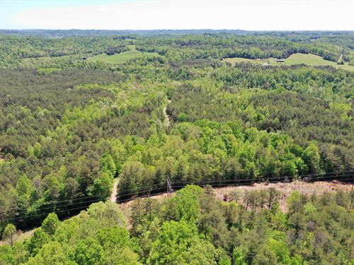 Owsley County Kentucky Land for Sale : LANDFLIP