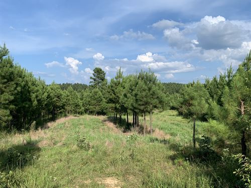 Alabama Land for Sale : Page 14 of 85 : LANDFLIP