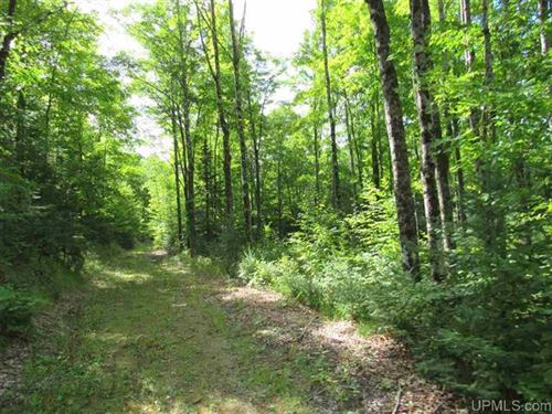 Timothy Keohane : Great Lakes and Land Real Estate Co Land for Sale ...
