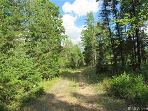 Swamp Land for Sale - landflip