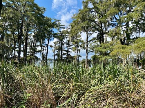 Louisiana Land for Sale : Page 9 of 19 - landflip