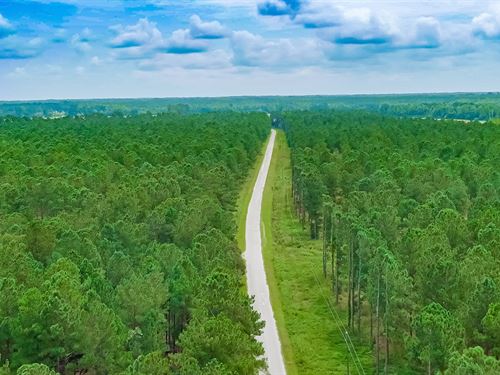 South Carolina Land for Sale : LANDFLIP