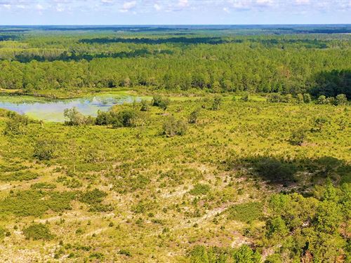 Florida Land for Sale : Page 89 of 100 : LANDFLIP