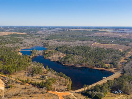 Taylor County Georgia Land for Sale - landflip