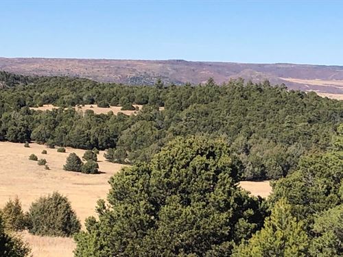 New Mexico Land for Sale - landflip