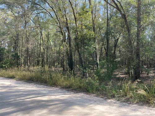 Wellborn Florida Land for Sale : LANDFLIP