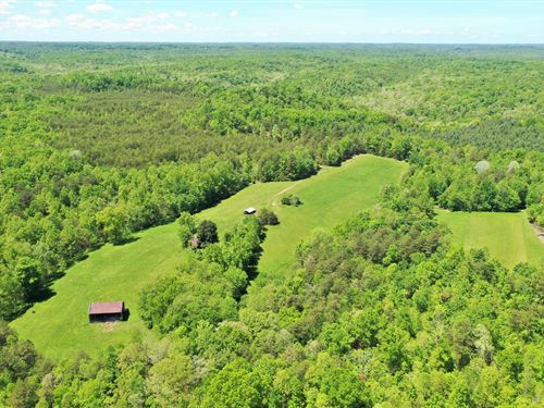 Kentucky Land for Sale : Page 6 of 8 - landflip