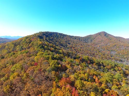 Georgia Land for Sale : Page 27 of 89 : LANDFLIP