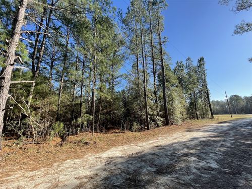 South Carolina Land for Sale : Page 5 of 31 : LANDFLIP