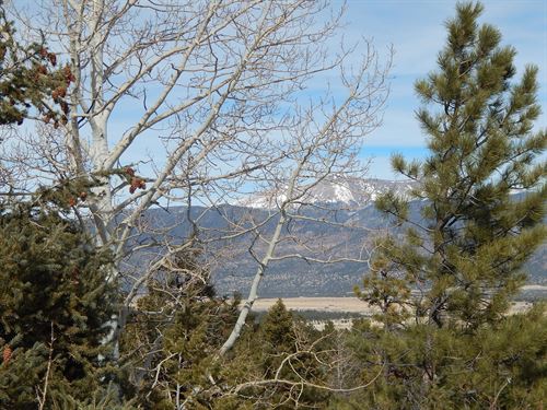 Colorado Land for Sale : Page 21 of 96 - landflip