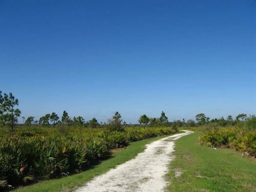 Polk County Florida Land for Sale - landflip