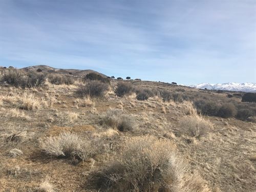 Spring Creek Nevada Mountain Land for Sale : LANDFLIP