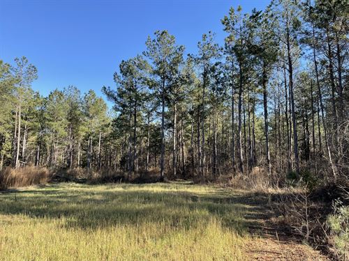 South Carolina Land for Sale : Page 13 of 28 - landflip